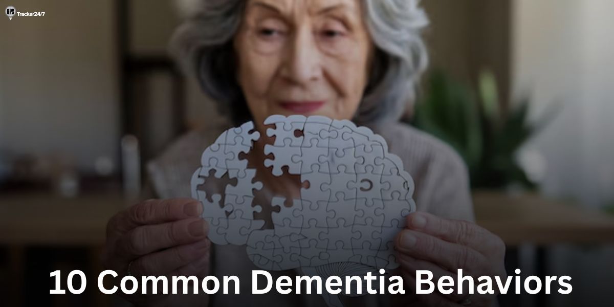 10 Common Dementia Behaviors And How To Manage It – GPSTracker24/7