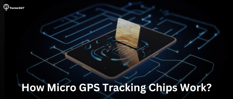 How Micro GPS Tracking Chips Work? – GPSTracker24/7