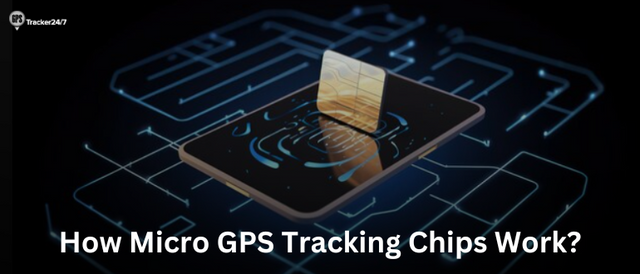 How Micro GPS Tracking Chips Work? – GPSTracker24/7